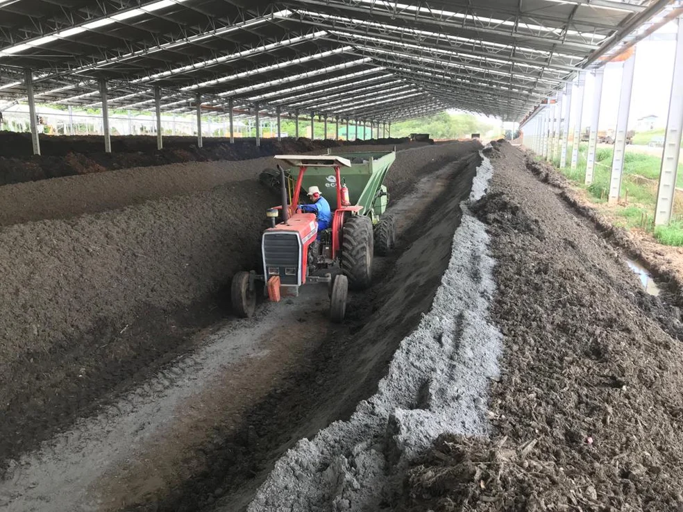 Compostagem termofílica: o que é e como funciona? | Tera NV